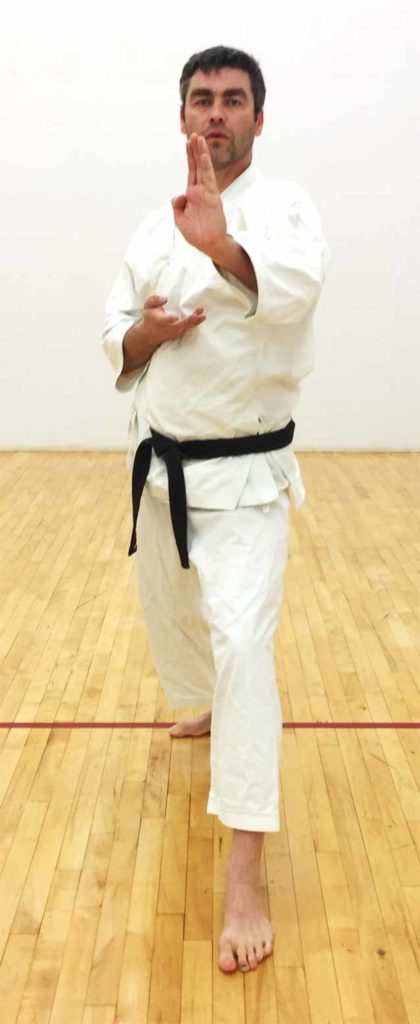 General Concepts Of Karate Stances Part 1 – Shotokan Karate Online