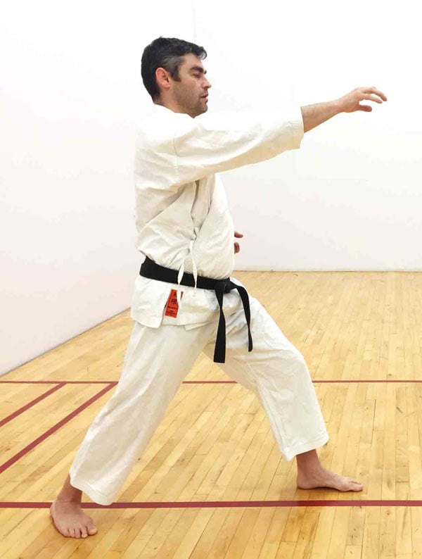 General Concepts Of Karate Stances Part 1 – Shotokan Karate Online