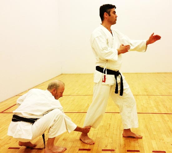 Vertical Slingshot Shotokan Karate Advanced Tutorial