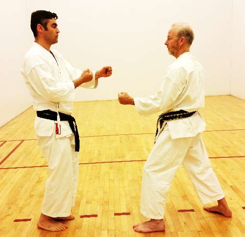 Vertical Slingshot – Zanshin Black Belt Academy