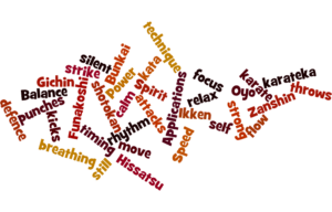 13 Shotokan Kata Tips To Make Your Kata Great