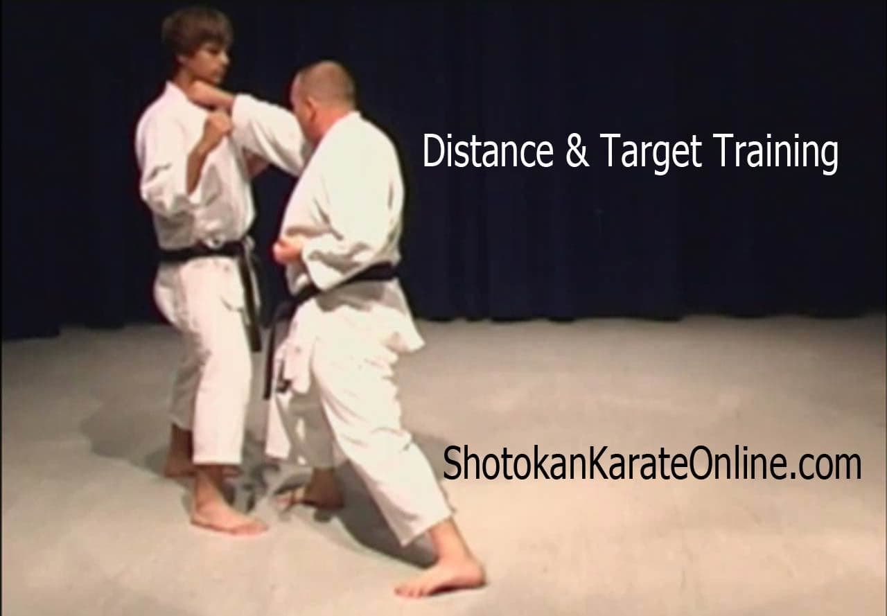 Target Exercise Using Oi Zuki Technique
