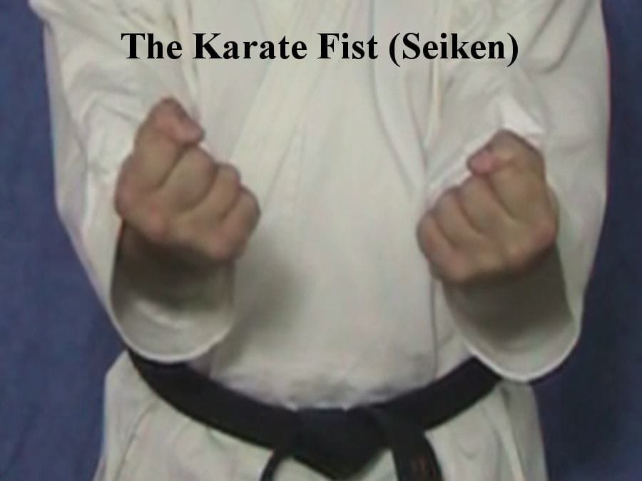 seiken the karate fist – Shotokan Karate Online
