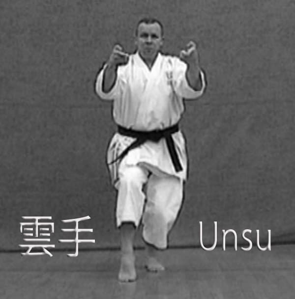 Which of These Unsu Kata Video Do You Like?