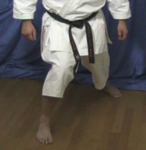 Kizami-Zuki And Gyaku-Zuki Basic Combination Shotokan Karate