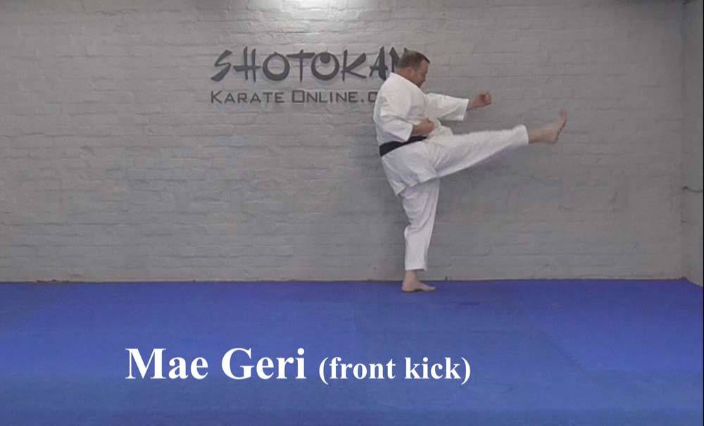 Taekwondo Front Snap Kick