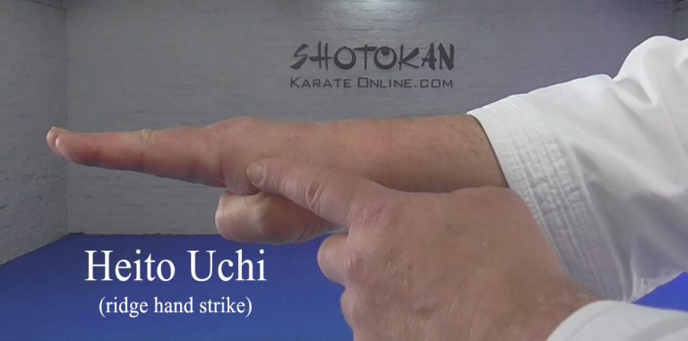 4 Strikes Choku Zuki, Teisho, Heito and Shuto From Shizentai – Shotokan ...