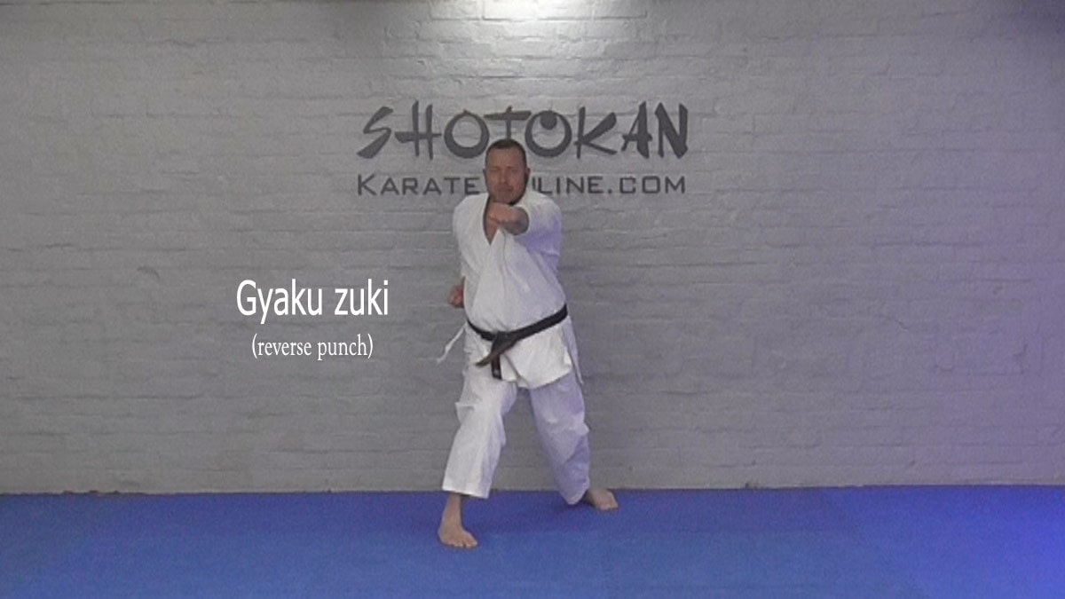 Gyaku Zuki Reverse Punch