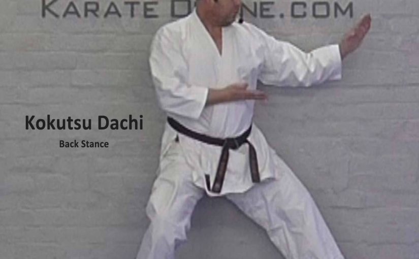 Shotokan Karate Stances Kokutsu Dachi (Back Stance) – Shotokan Karate ...