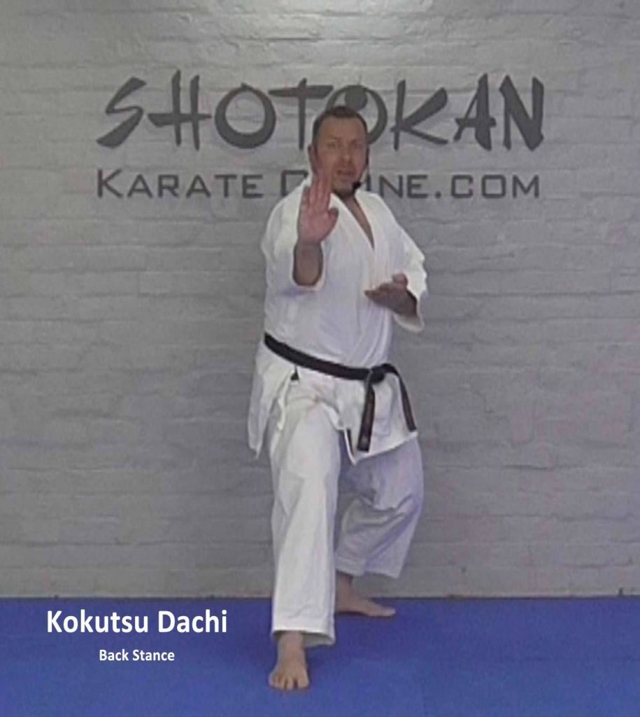 Shotokan Karate Stances Kokutsu Dachi (Back Stance) – Shotokan Karate ...