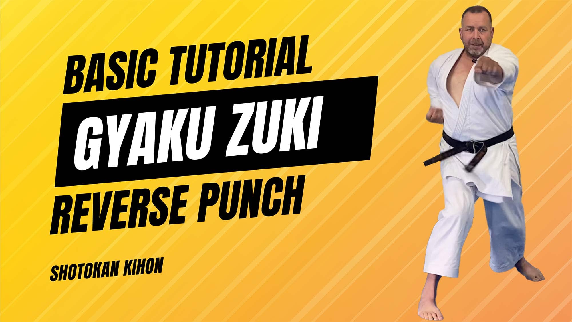 Karate Punches Zuki at Annabelle Wang blog