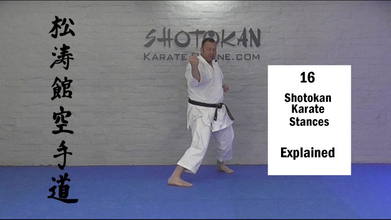 Shotokan Karate Stances