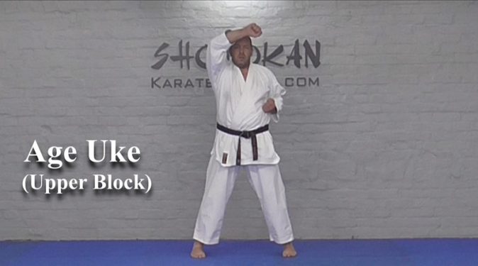 Lesson 2 10th Kyu Course and Exam – Zanshin Black Belt Academy