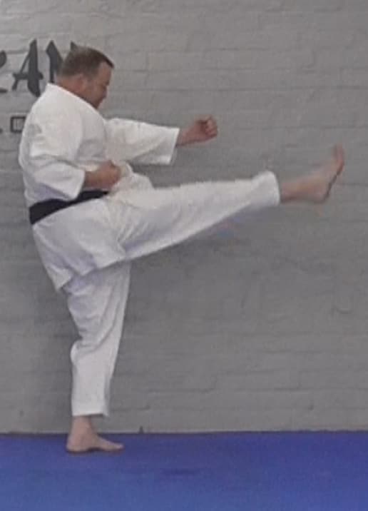 Mae Geri Keage Front Snap Kick