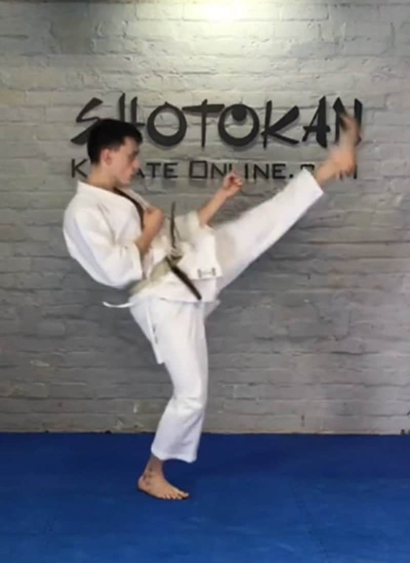 Mae Ren Geri Two Front Kick Stepping Shotokan Karate