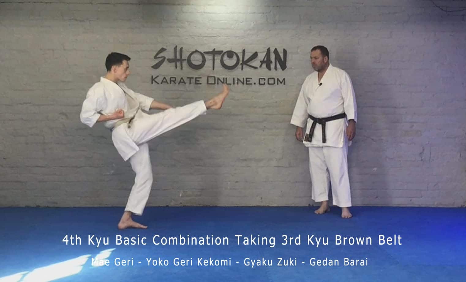 Mae Geri, Yoko Kekomi, Gyaku Zuki, Gedan Barai