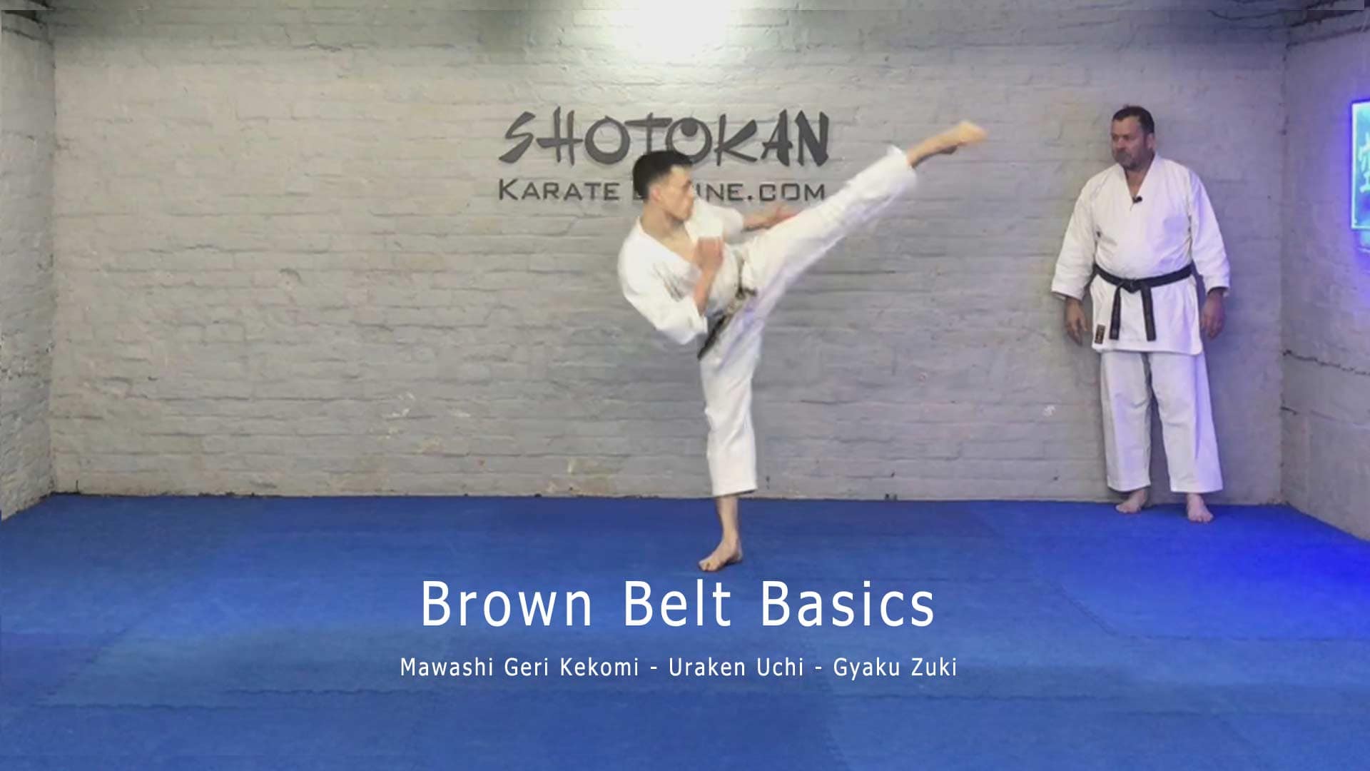 Mawashi Geri, Uraken Uchi, Gyaku Zuki