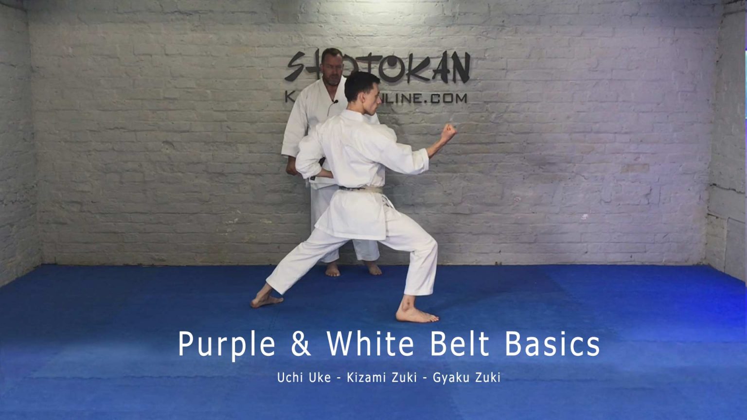 Uchi Uke, Kizami Zuki, Gyaku Zuki Stepping