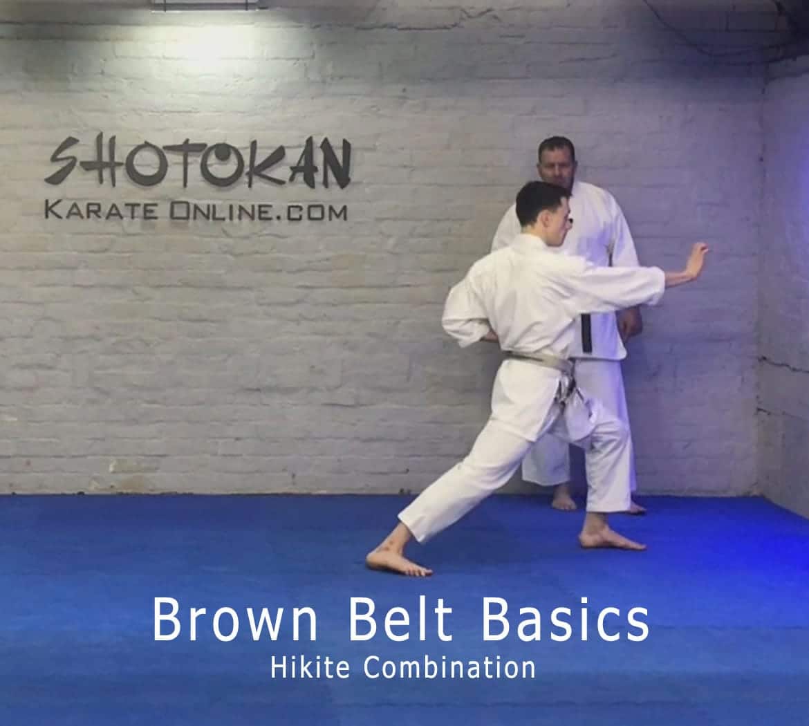 Brown Belt Basics Hikite Combination Shotokan Karate Online