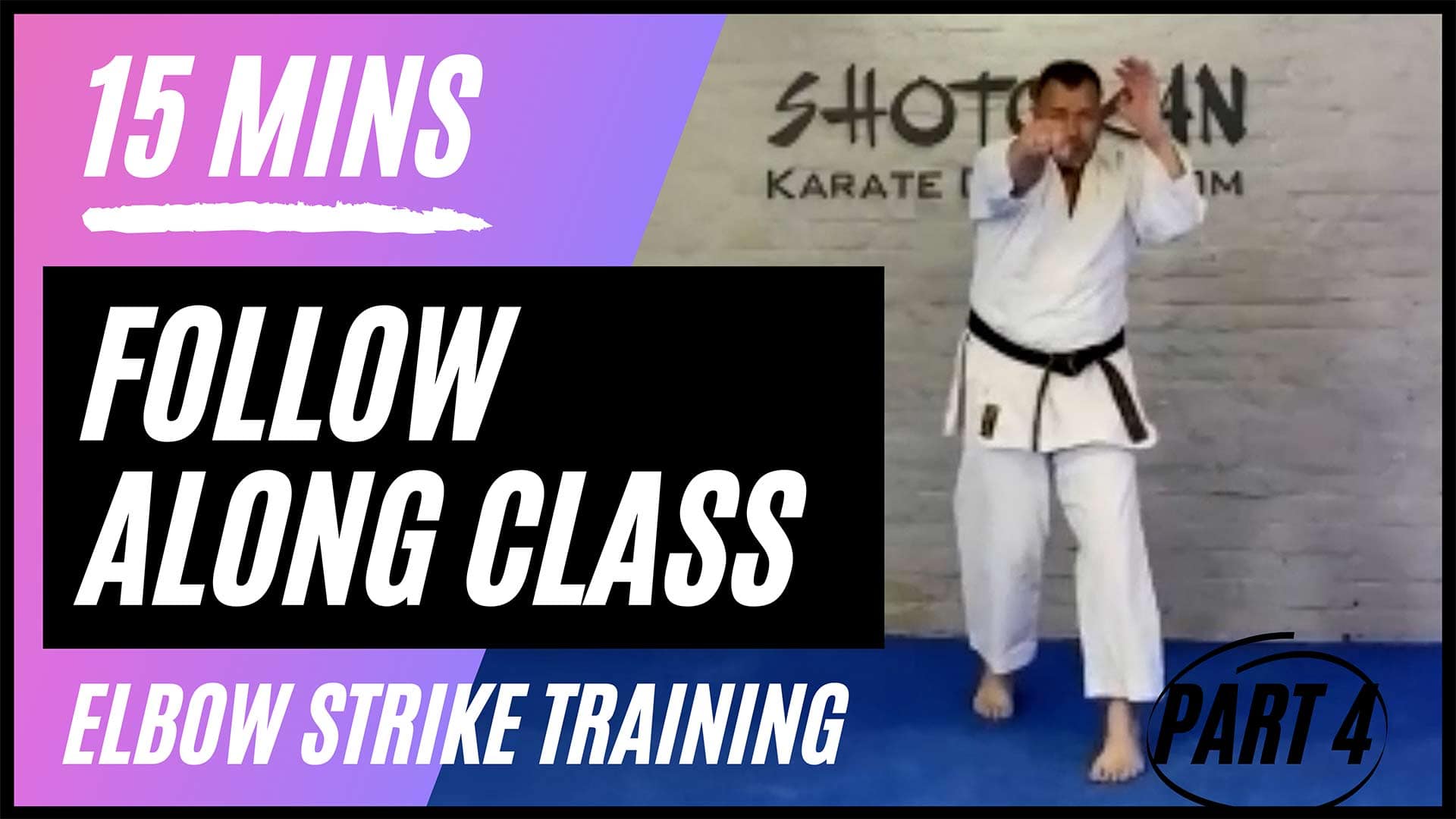 Shotokan Karate Follow Along Class 6 Strikes With Grabs Part 4