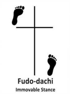 Shotokan Karate Stances