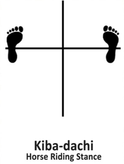 Shotokan Karate Stances