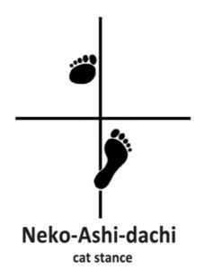 Shotokan Karate Stances