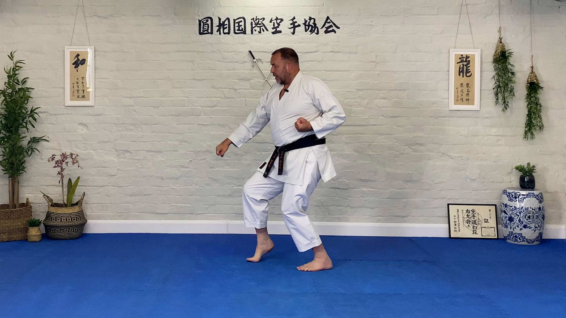 Shotokan Karate Exercise Leg Driving Punch Block Punch