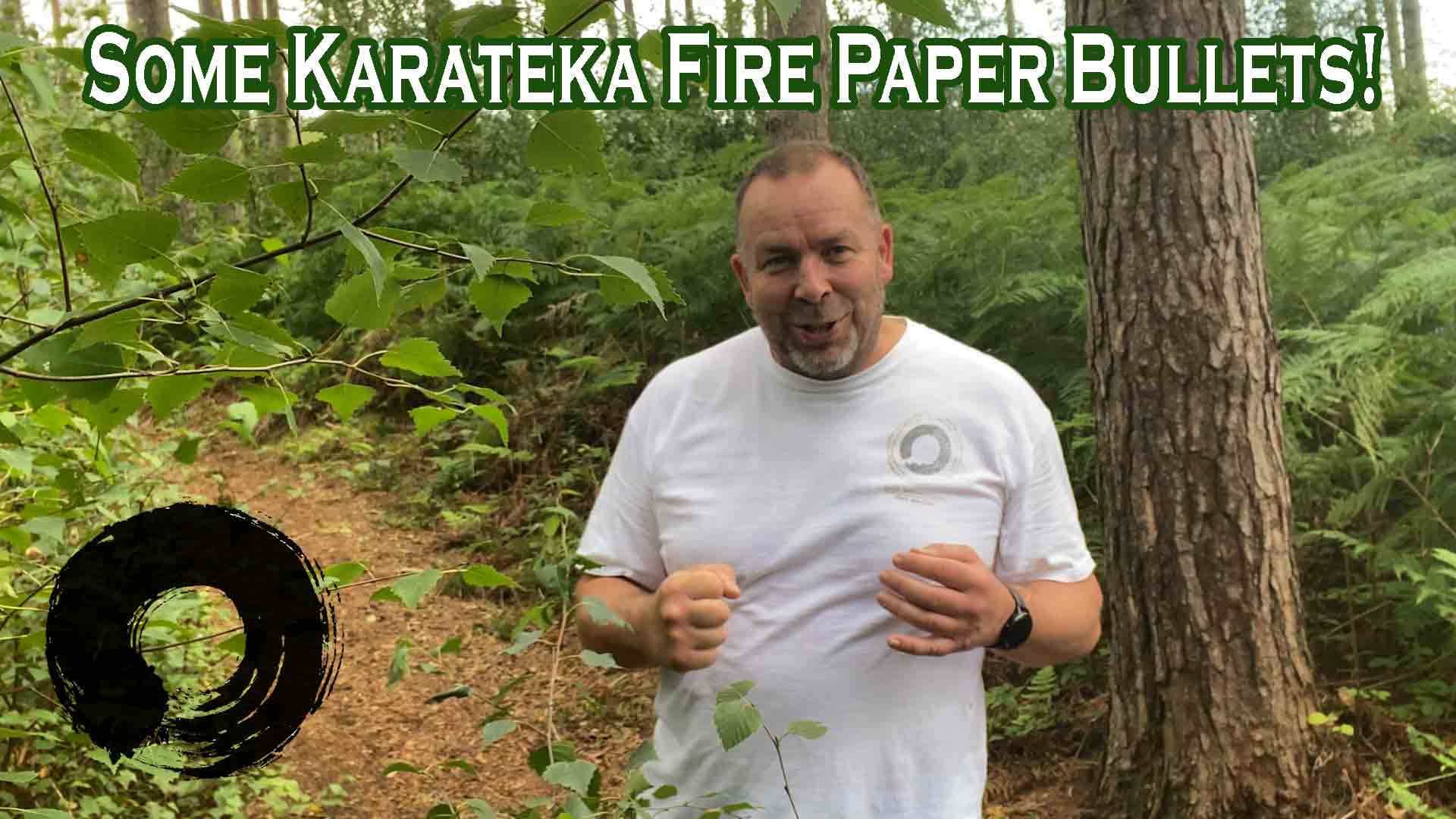 Karateka Hit With Paper Bullets Learn To Hit With Steel Bullets