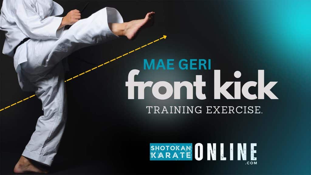 Mae Geri Exercise For A Better And Stronger Front Kick