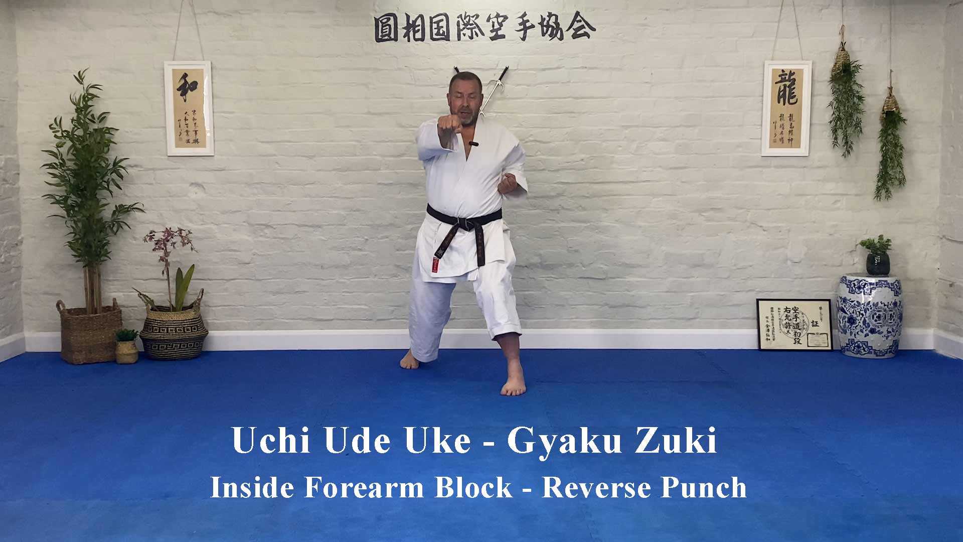 Shotokan Basics Uchi Uke Gyaku Zuki Stepping