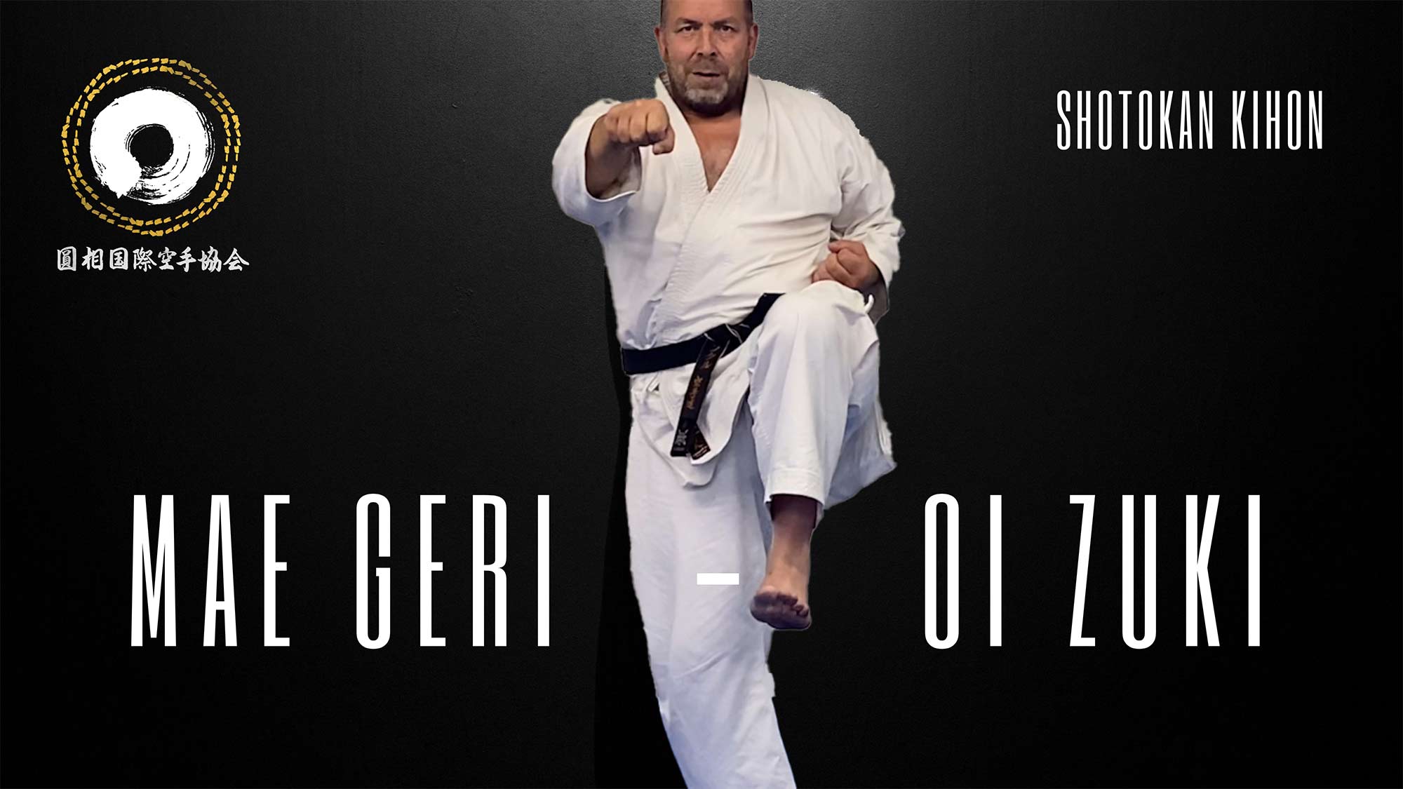 Mae Geri Oi Zuki Front Kick Stepping Punch Shotokan Kihon