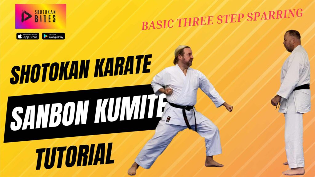 Sanbon Kumite Tutorial Three Step Sparring Shotokan Karate
