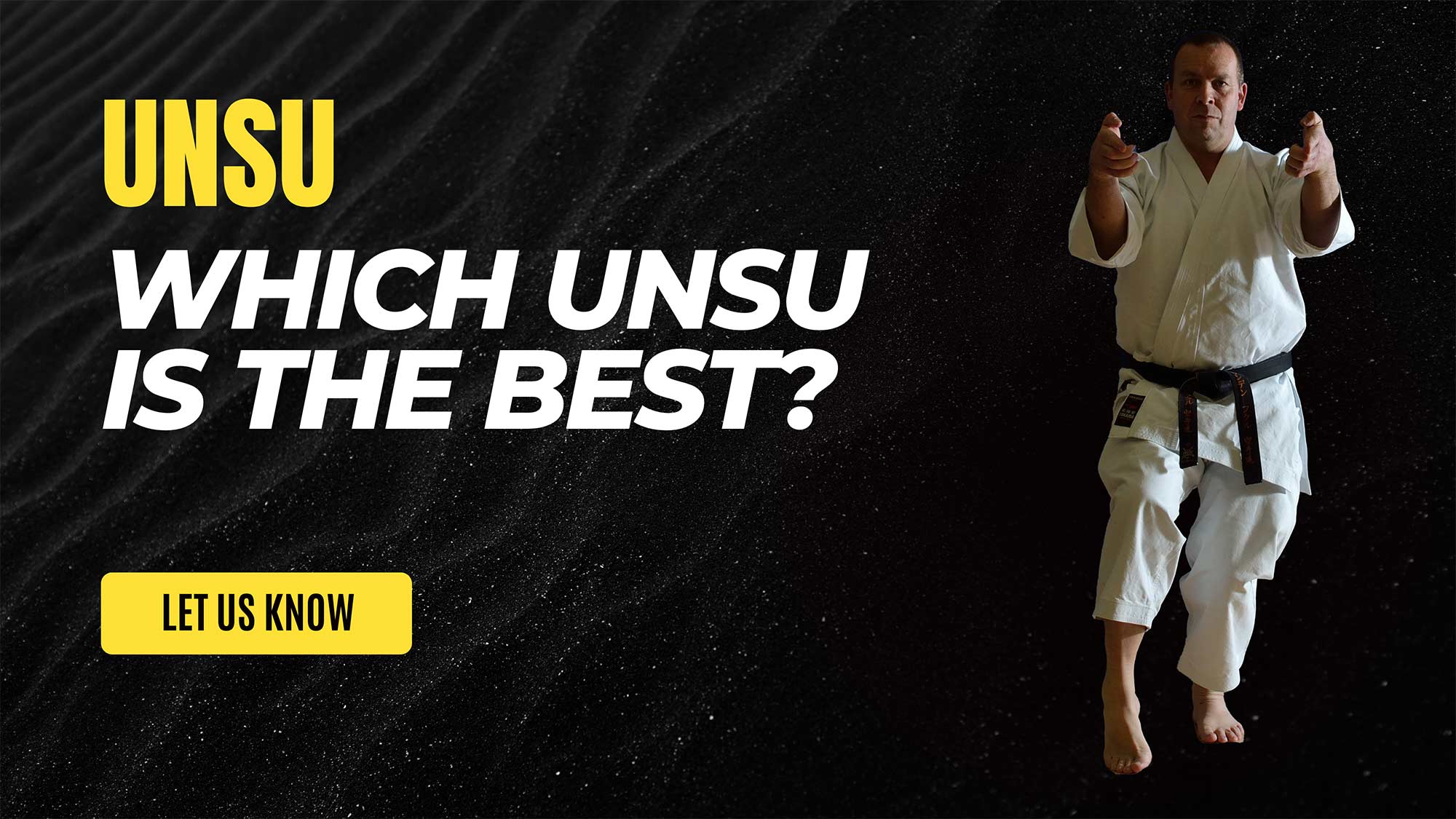 Which Of These Unsu Kata Video Do You Like?