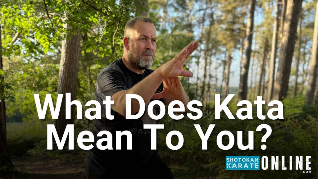 What Does Kata Mean To You?